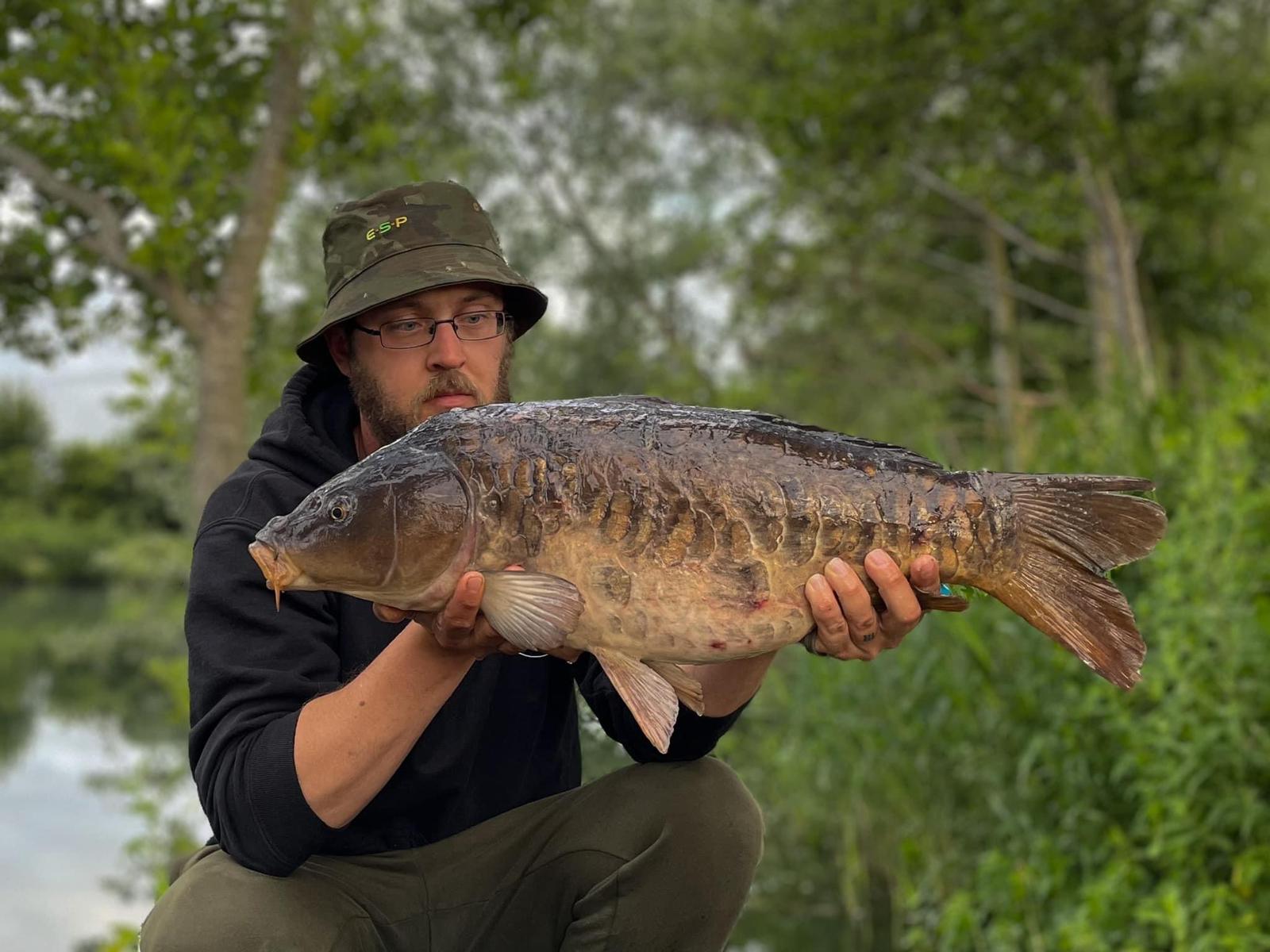 scales everywhere | Total Carp
